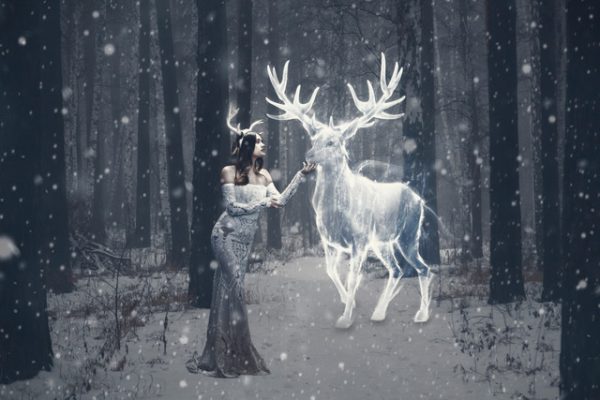 Cassidy Walker - ARTe VallARTa Museo